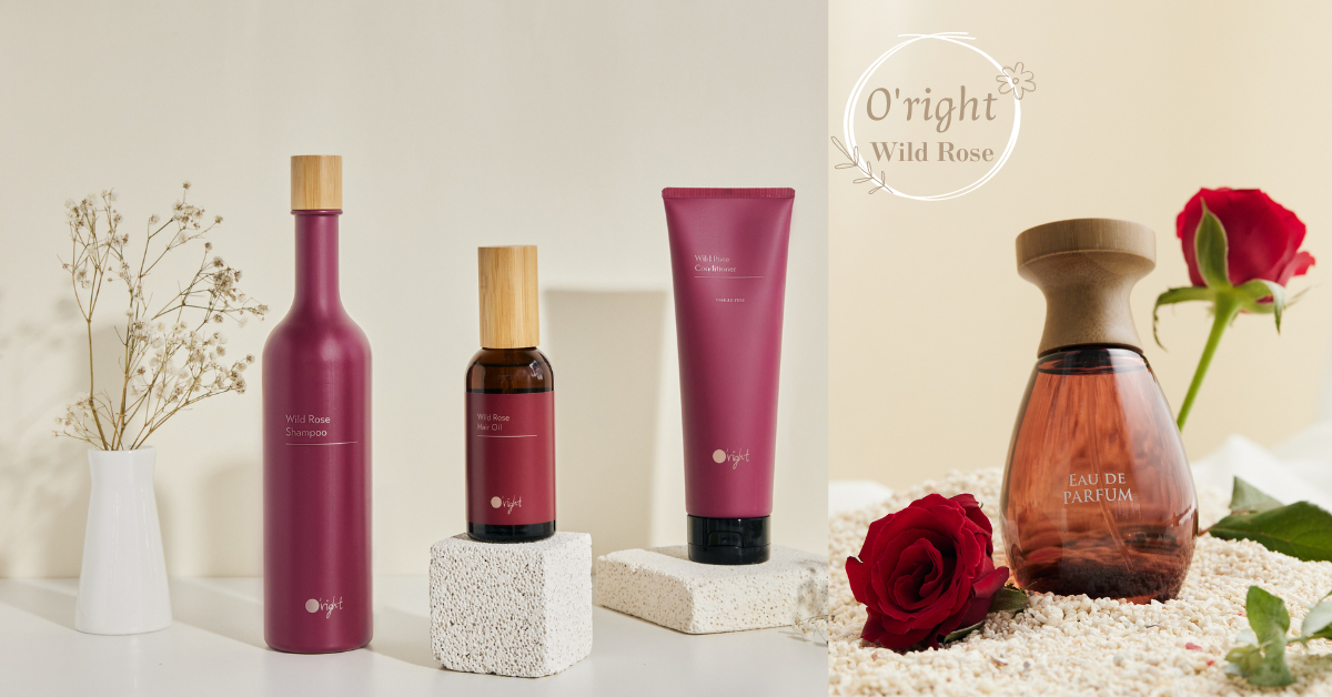 漂染燙受損髮的天使光就靠它！O’right 歐萊德曠野玫瑰系列蘊含多種植萃成分，將堅毅之美轉化為修護能量，層層修護秀髮散發自信！｜PopDaily 波波黛莉